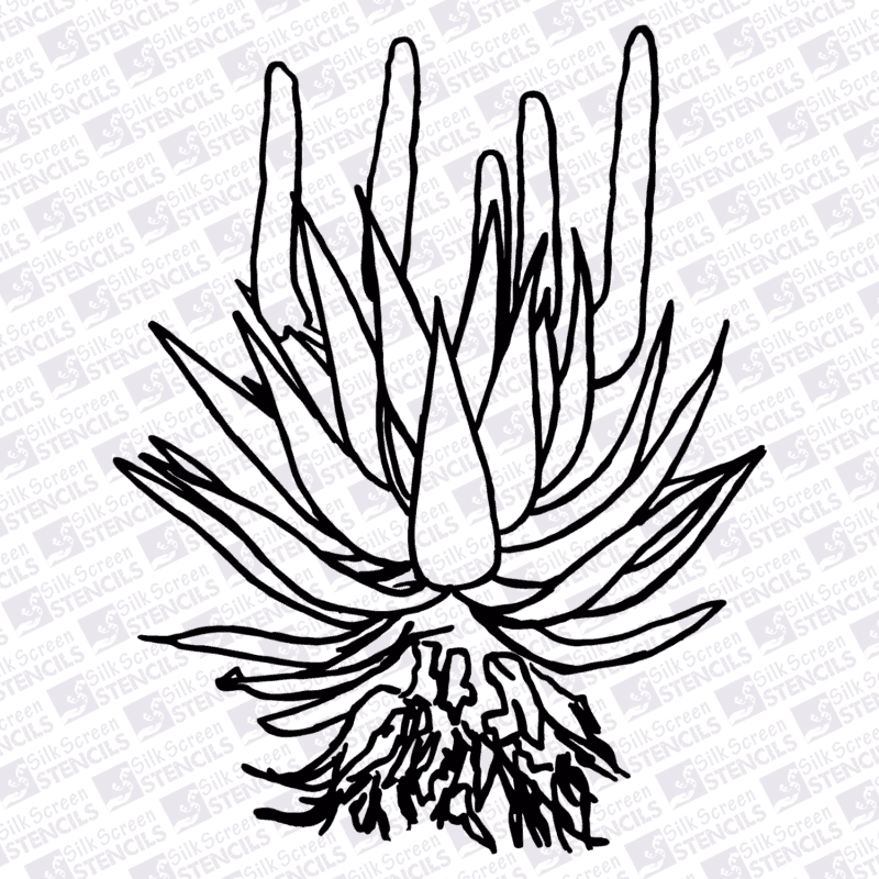 Aloe outline | Silkscreen Stencils